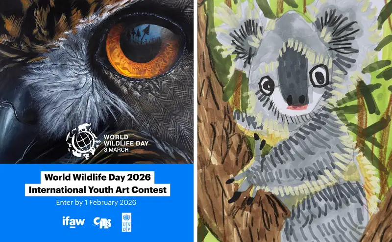 IFAW World Wildlife Day International Youth Art Contest 2026 | Grants ...